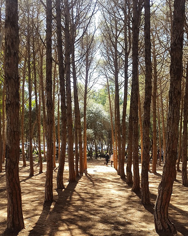 Top 10 Haunted Places In Algeria - Horror Locations In Algeria | Creepy HQ