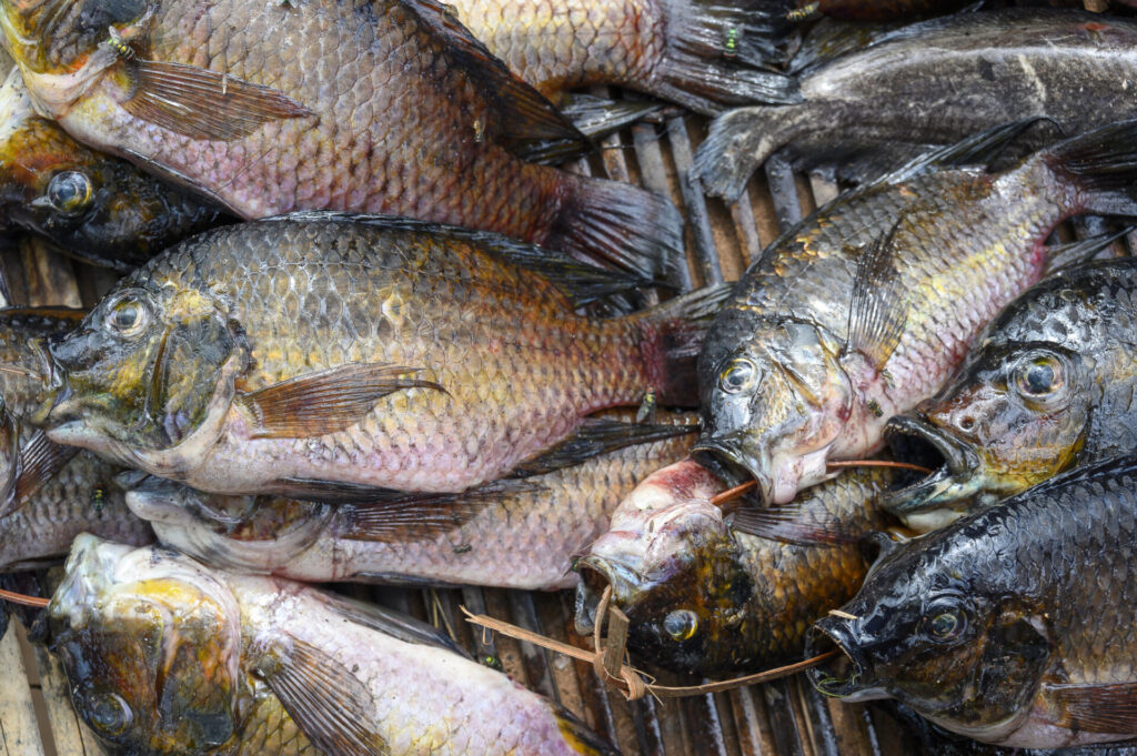 Top 10 Haunted Places In Congo, Democratic Republic - Horror Locations ...